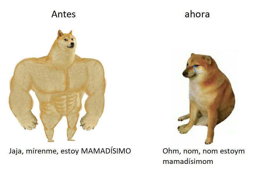 ¡Felicidades! Cheems el perro de los memes cumple 10 años